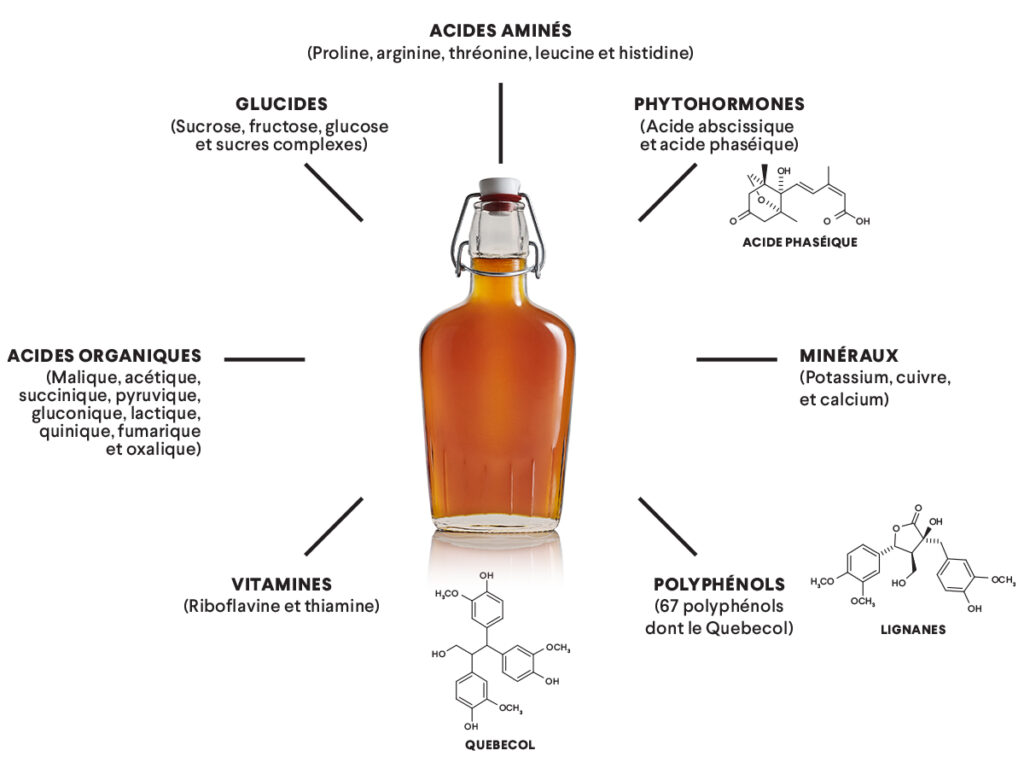 History of Maple Syrup - Maple from Canada